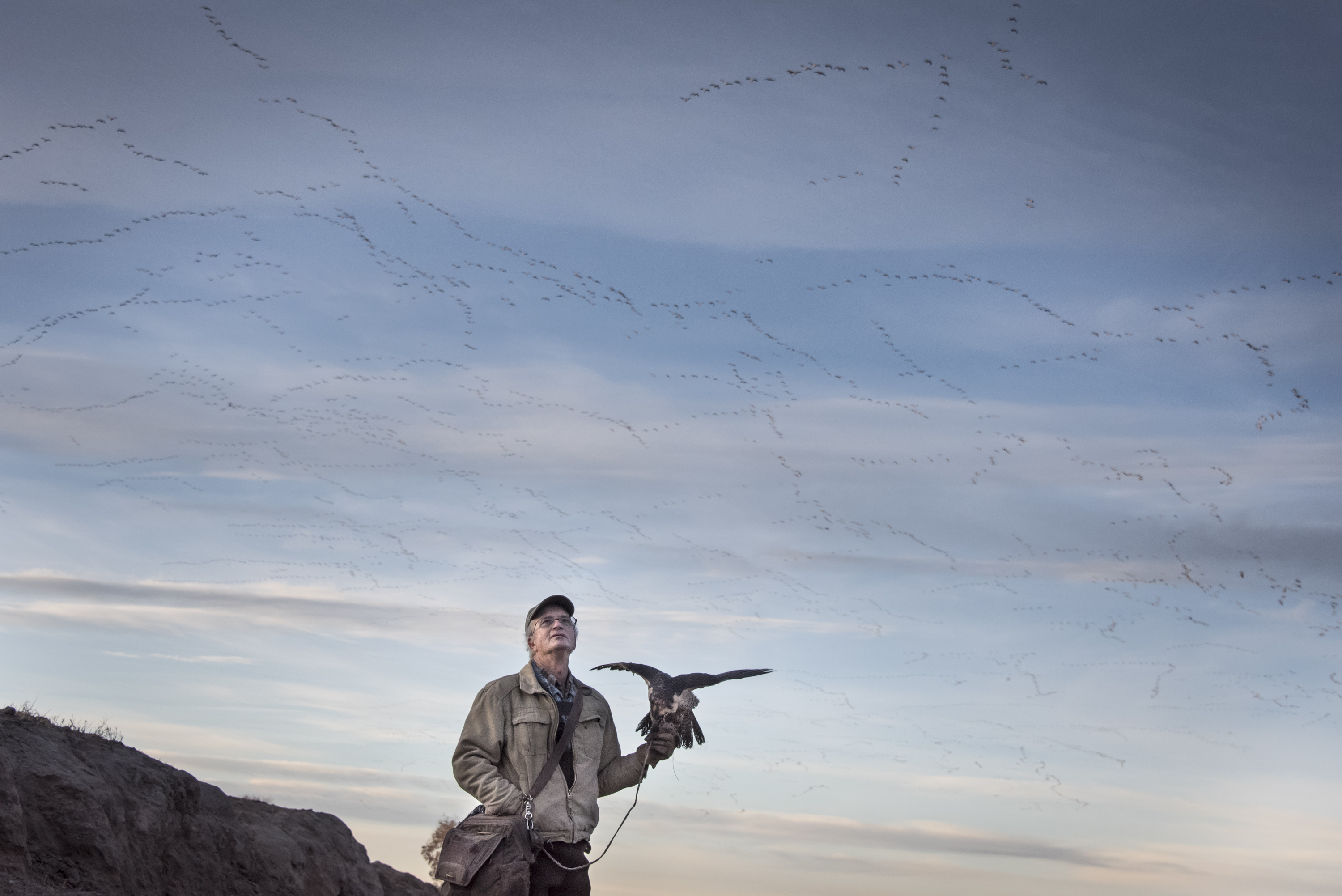 Stefan Wachs photo essay on falconers in the Southwest